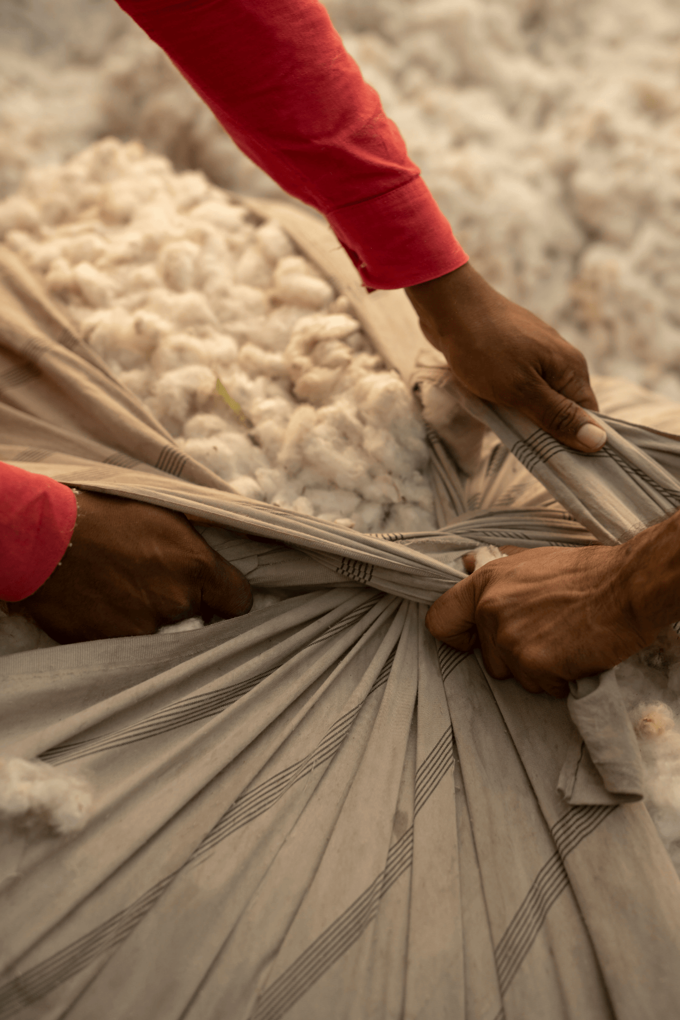 Fabric Spotlight: Hydroponic Cotton